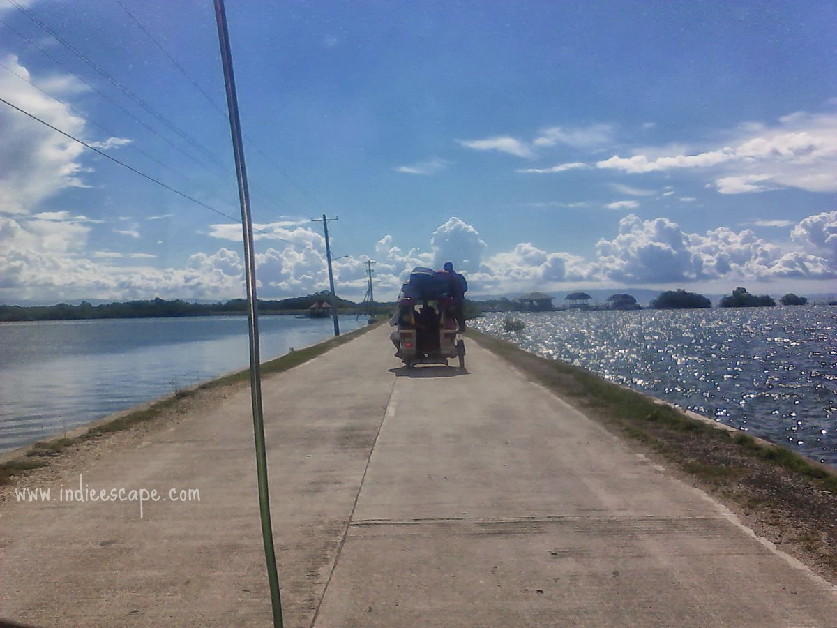 Tubigon, Bohol Tour Itinerary via Cebu | Indie Escape