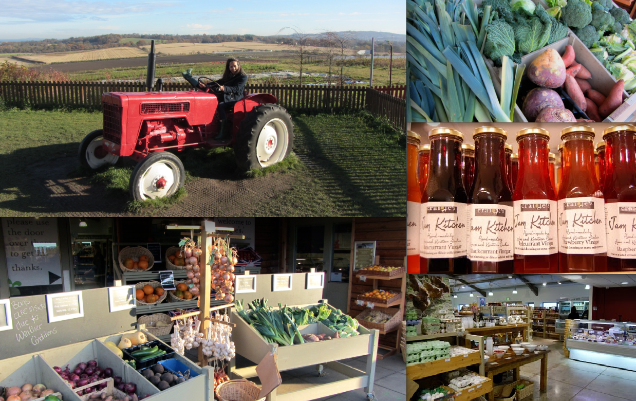 Dreams & Happy Things...: Just another day on the farm