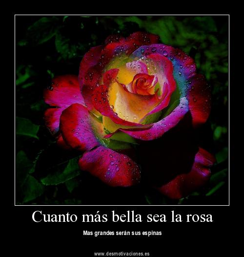 ver imagenes de amor online desmotivaciones con frases poemas rosas ...