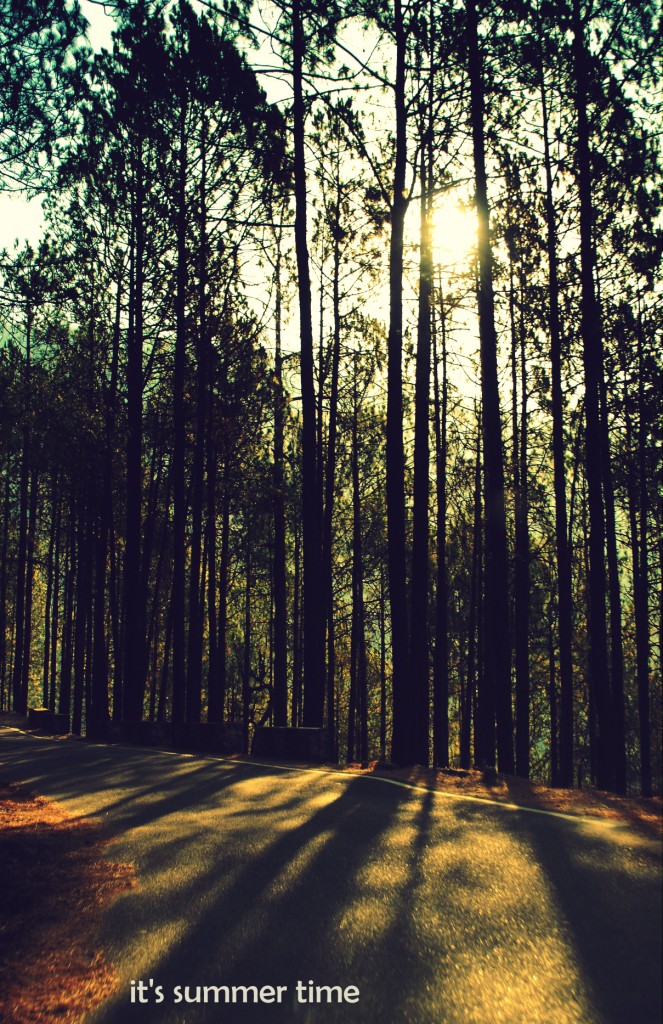 offbeat destination: lansdowne: prem sadan