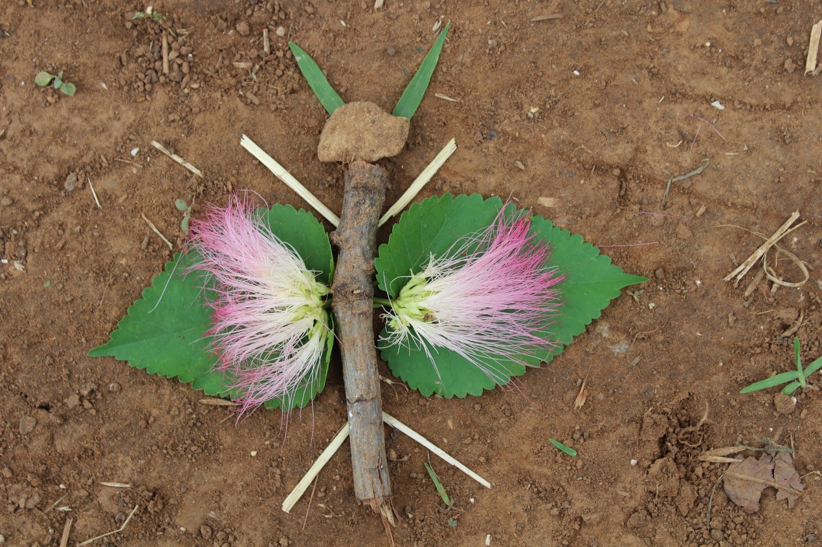Creative Hands: Temporary Nature Art (Land Art)