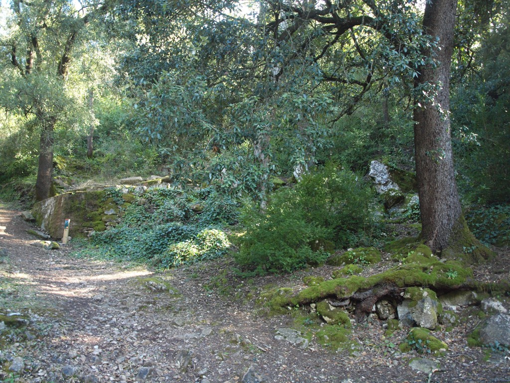 SOM DE PÍCNIC: Àrea de pícnic Font Fresca, Aiguafreda, Vallès Oriental