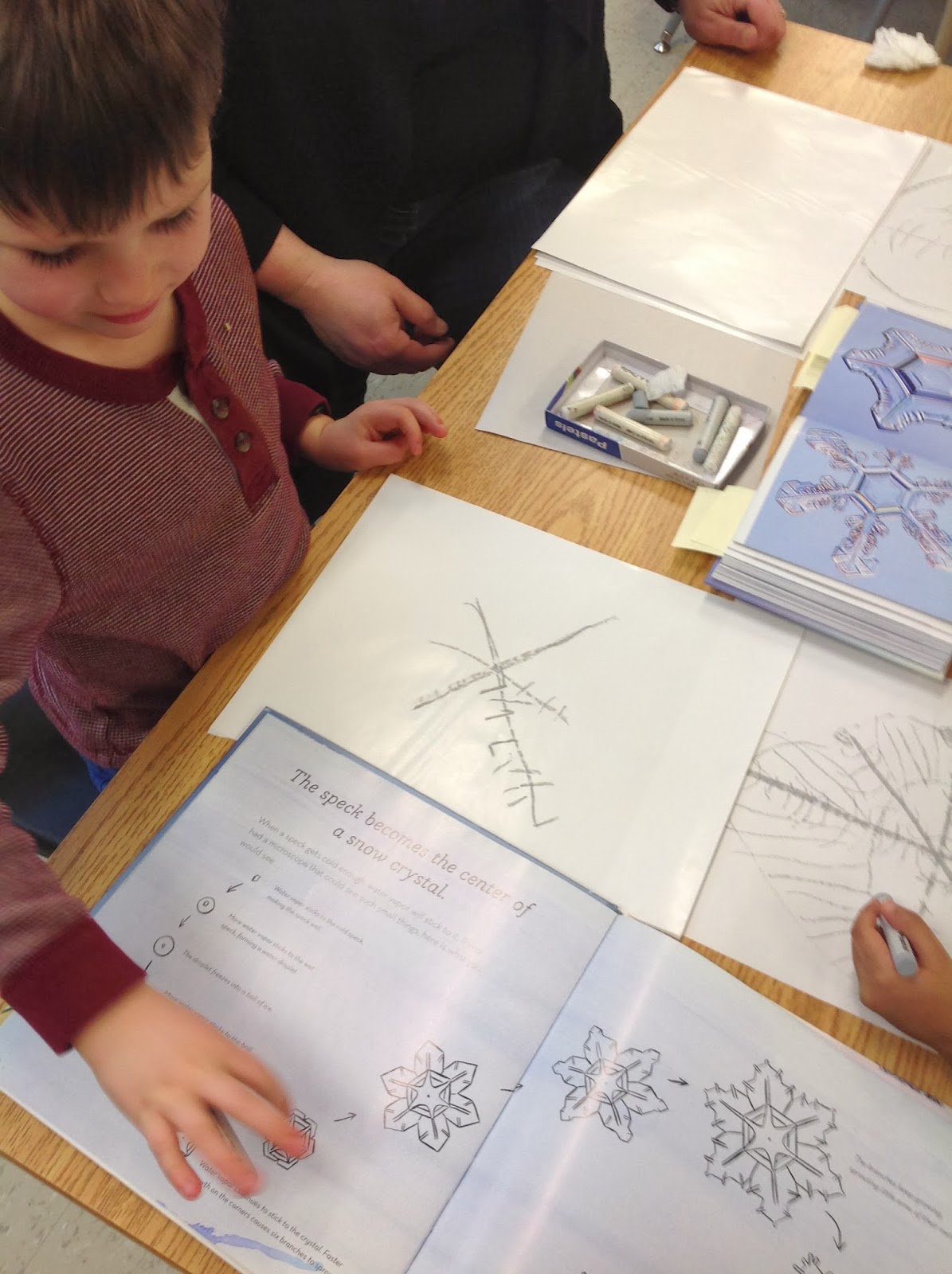 Wonders in Kindergarten: Our Snowflake Inquiry Further Learning!