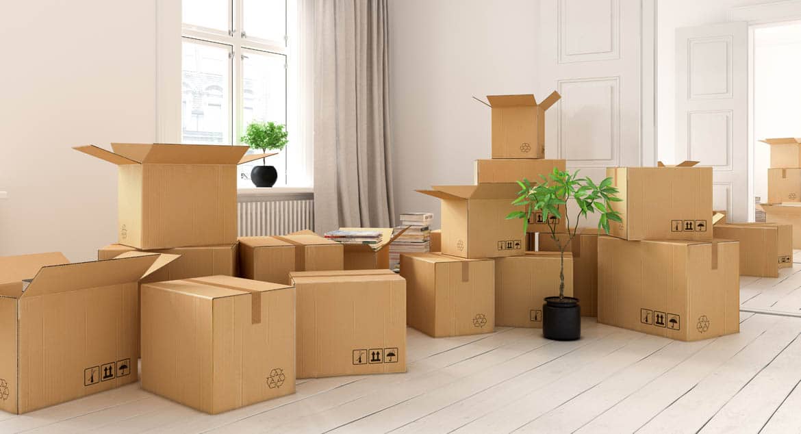 Cardboard Ideas To Decor Your Home