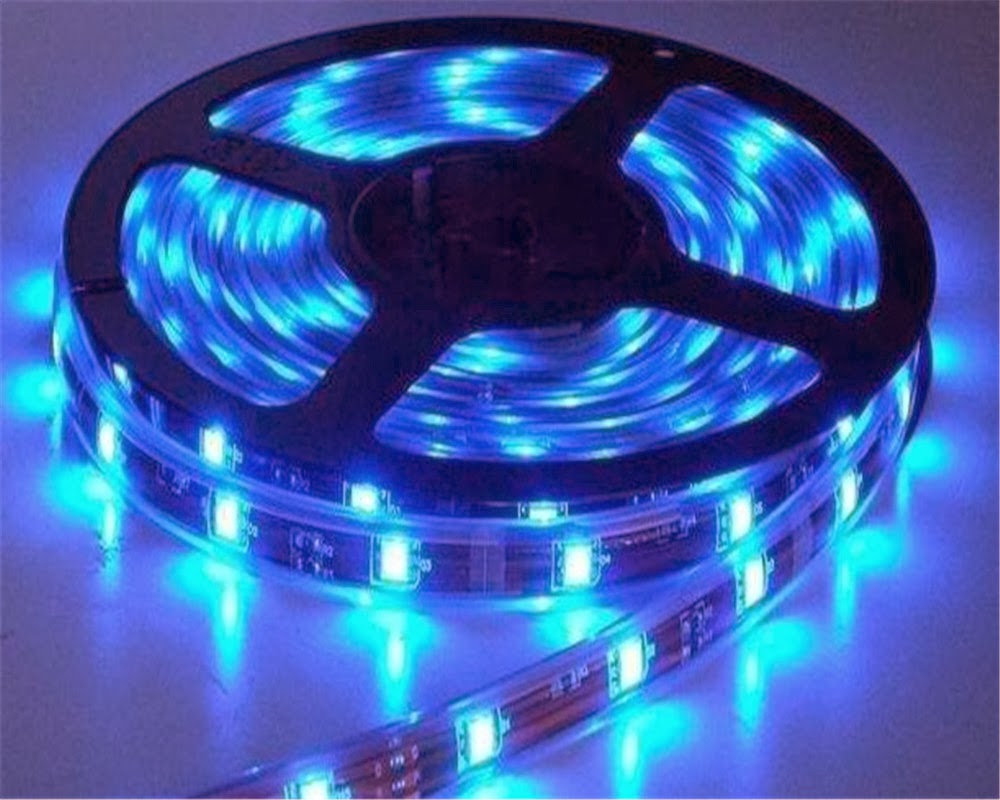 Proyecto Integrado de Ciencias: La luz LED daña las células de la retina