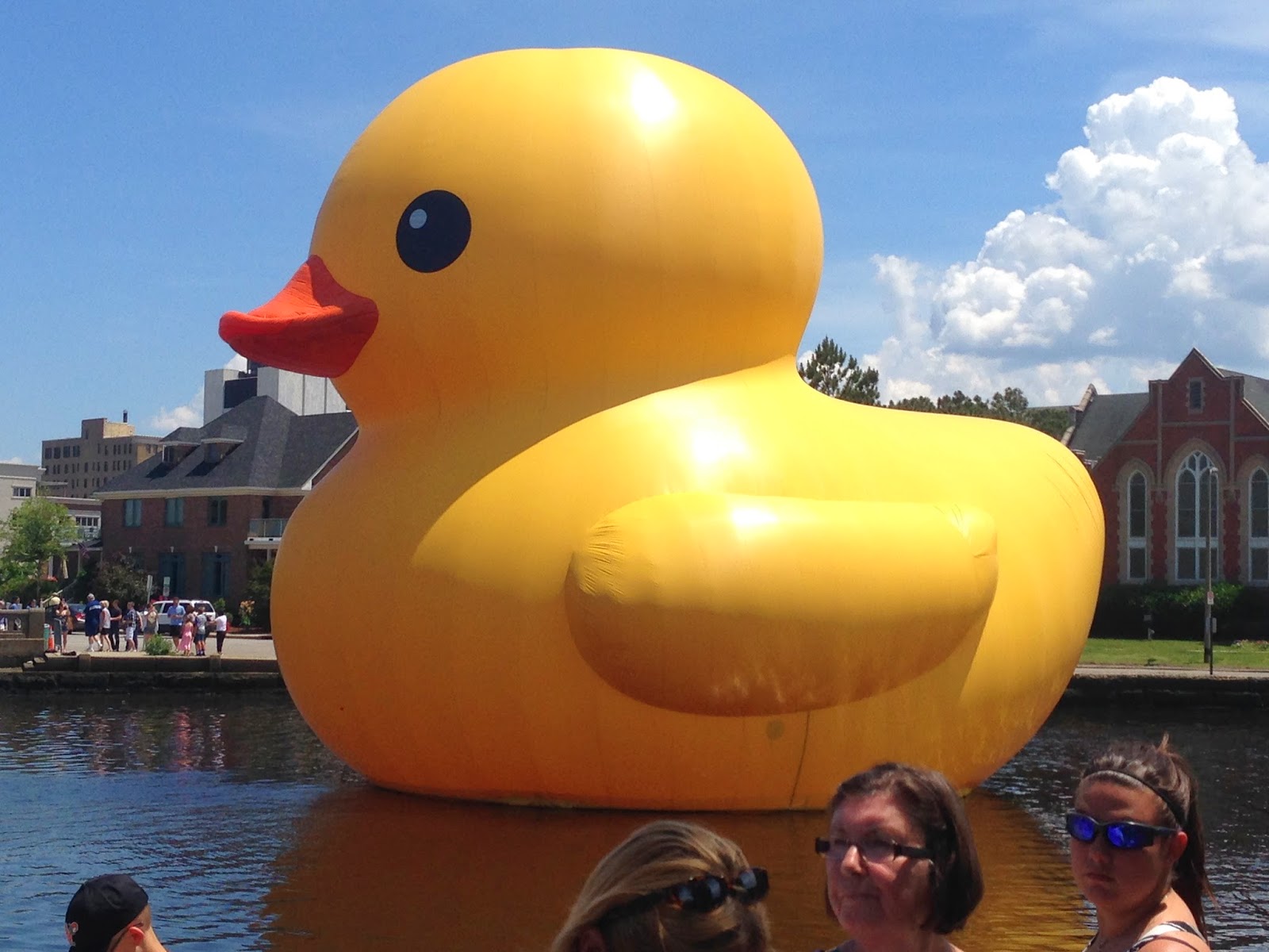 Southern Fried Pugs: That's one big duck