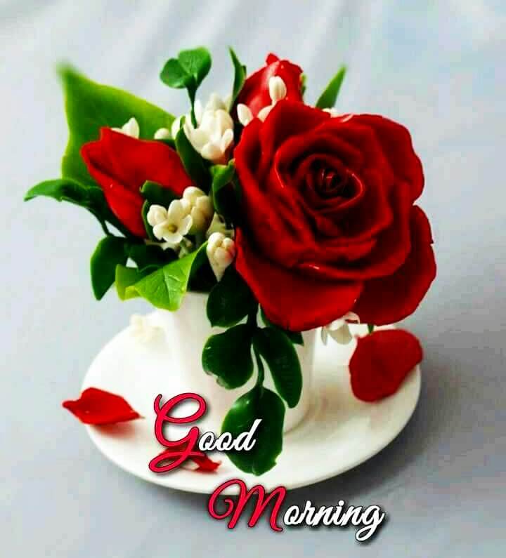 Best 60+ Good Morning Images For Whatsapp || Good Morning Images For ...