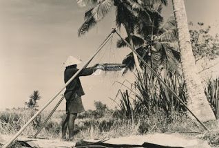 Bicara Mentari: PROSES MENGAYAK MENGANGIN PADI