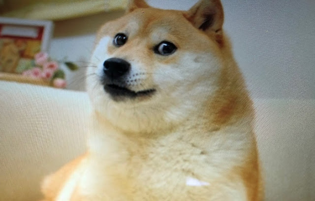 Lone Star Parson: DOGE$