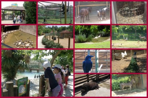 Jardins Coloridos: VISITA AO ZOO DE SANTO INÁCIO