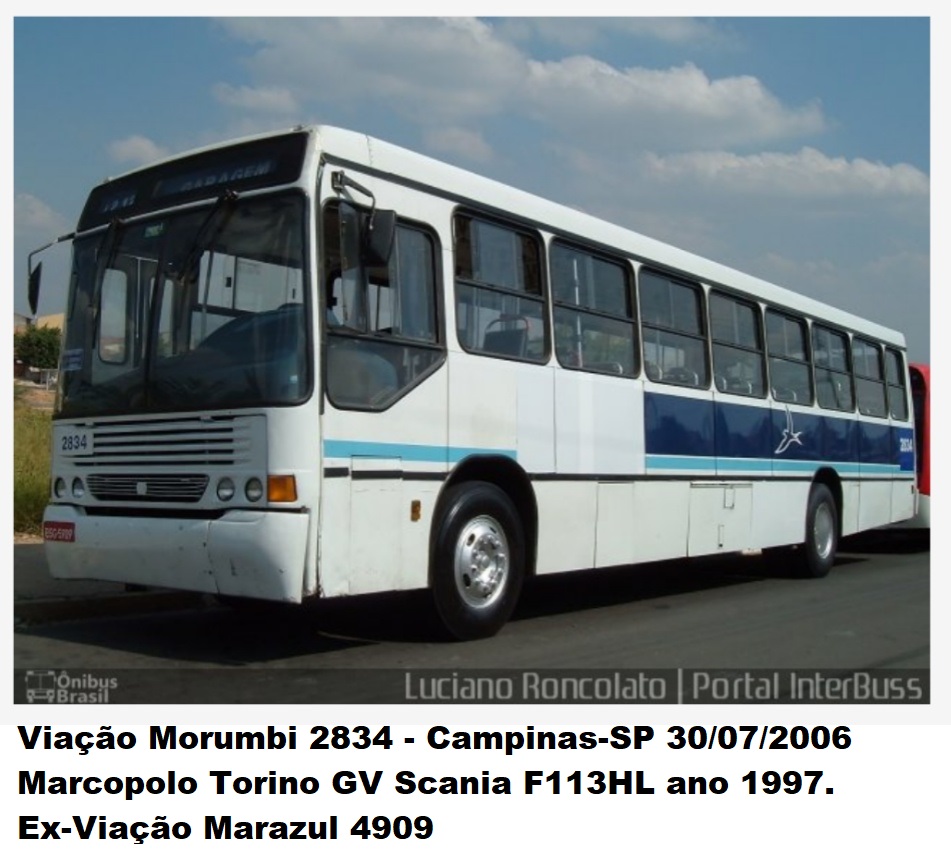 LITORALBUS 7: Torino GV Scania F113 - Marazul e Morumbi