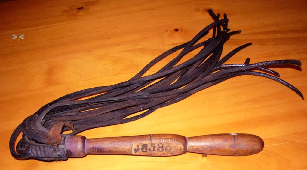 placardemike: LE MARTINET