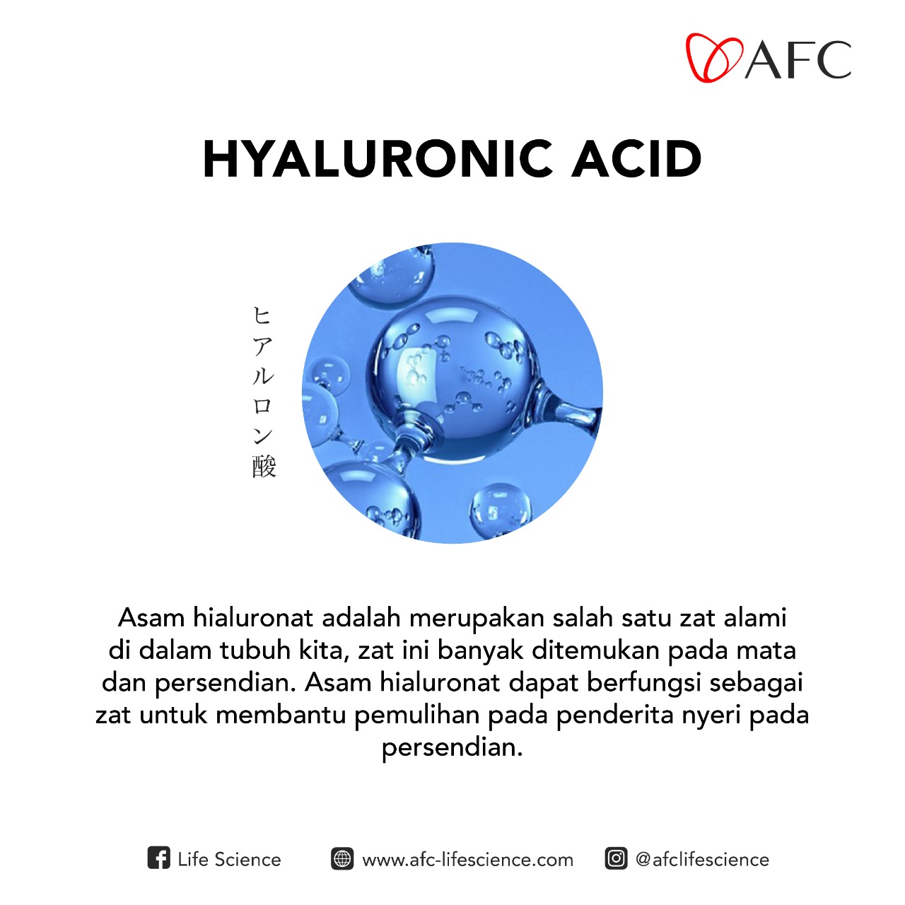 SOP SUBARASHI, UTSUKUSHHII, SOP 100+ dan SENSEI SURU AFC: SOP SUBARASHI