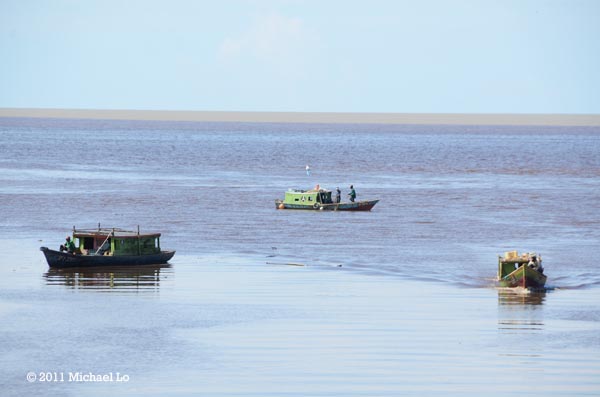 The rainforests of Borneo & Southeast Asia: Back to Sebuyau
