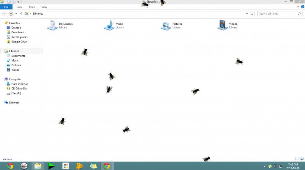 Computer Software and Tricks: Flies on Desktop