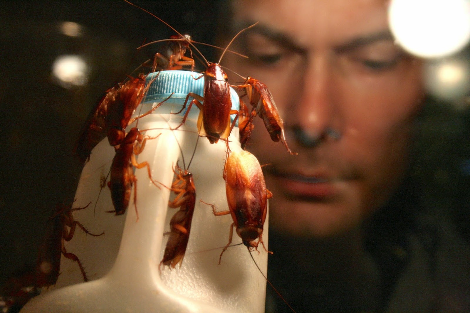 Take On Takapuna: Auckland War Memorial Museum and Mission Bay