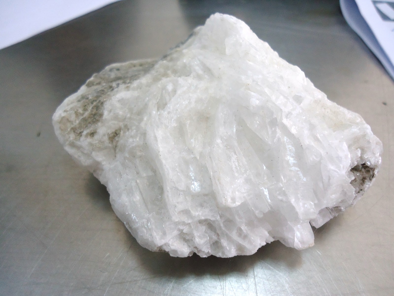 Biologia e Geologia: tudo o que precisas saber!: Mais fotografias de ...