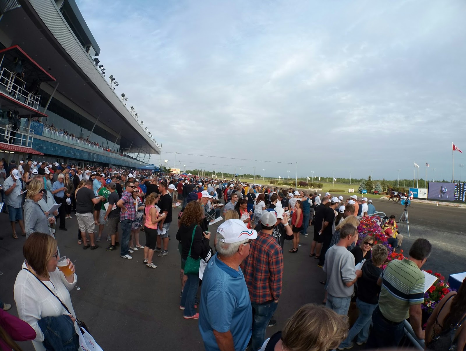 CLICKFLICK.ca: Summer Nights at Mohawk Racetrack