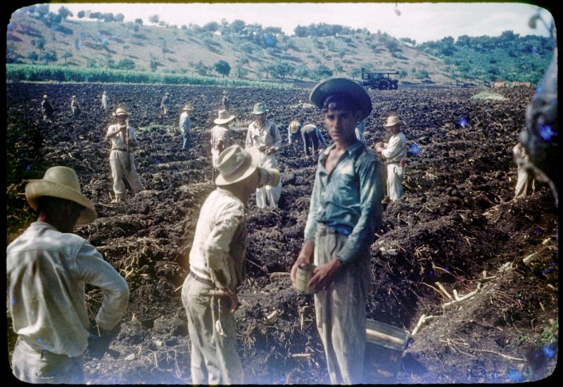 Everyday Life of Puerto Rico in the Mid-1940s Through Amazing Color ...