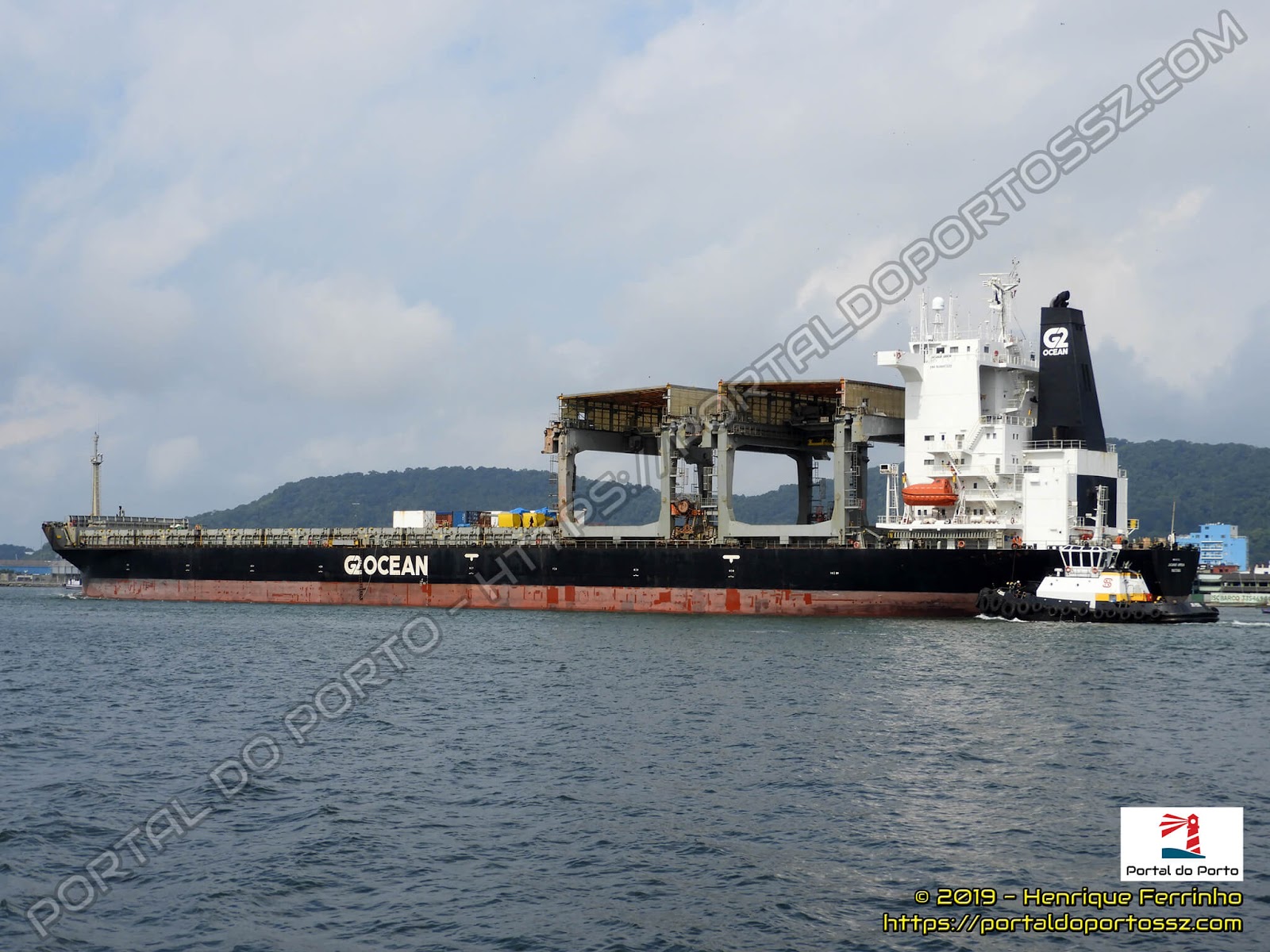 Jacamar Arrow - Portal do Porto