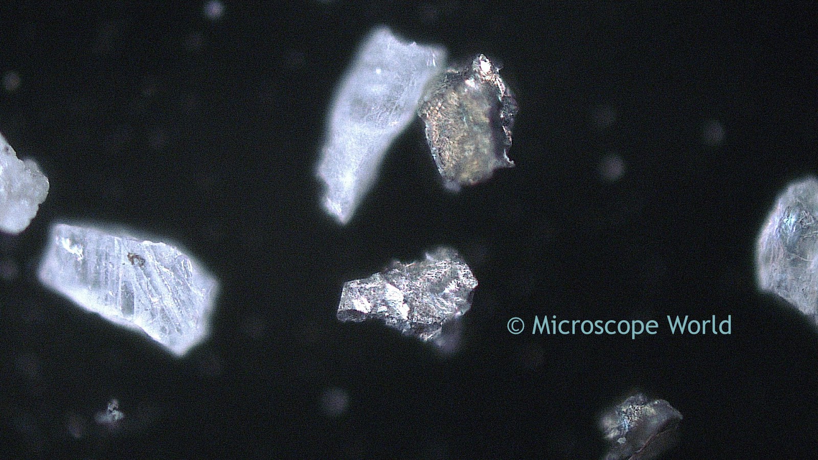 Microscope World Blog: Ore Under the Microscope