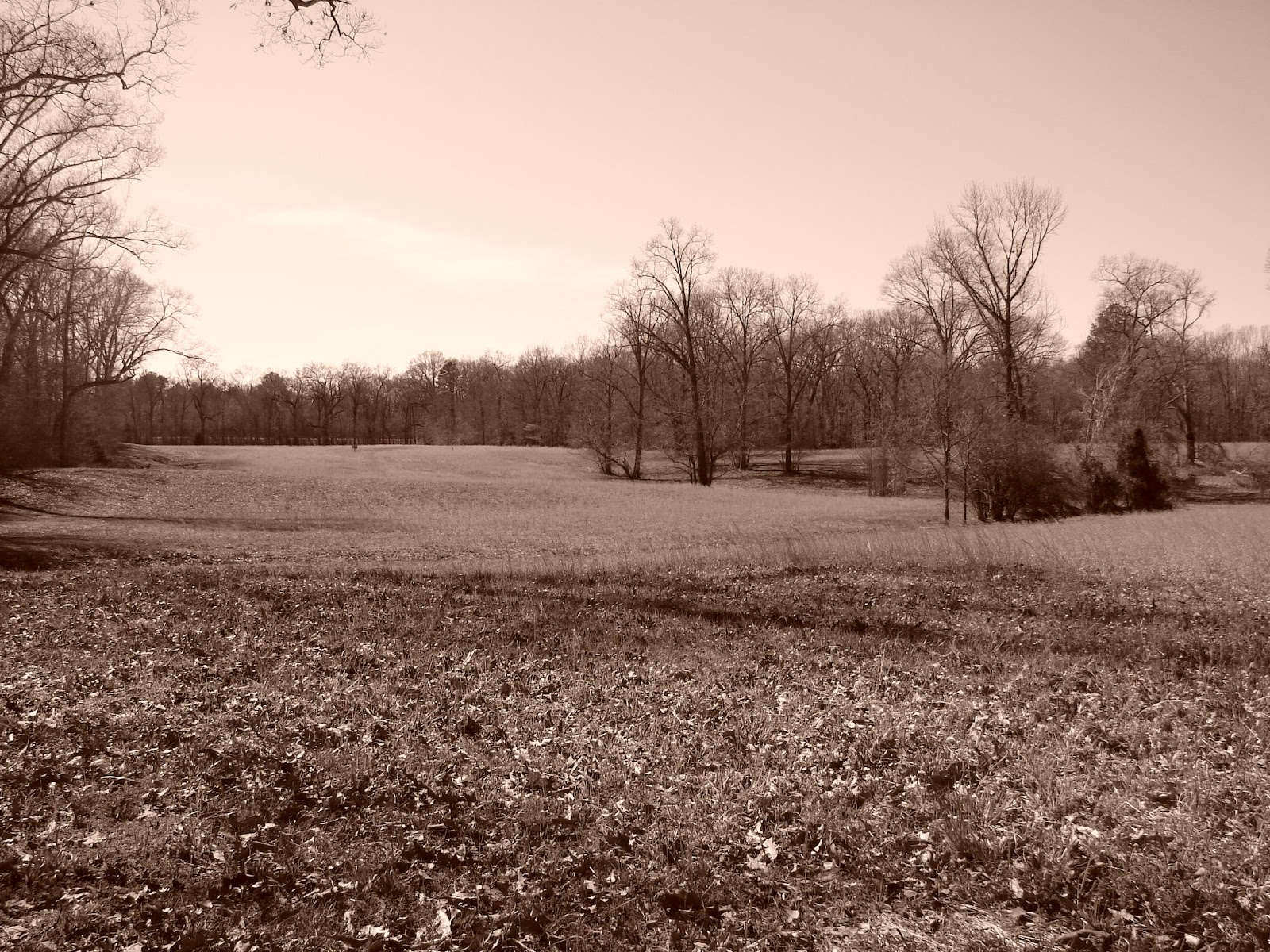 Our Country's Fiery Ordeal: The Battle of Shiloh Begins: Fraley Field ...