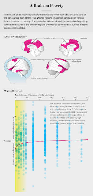 Youth Services Shout-Out: YSS Blog: Children's brain development and ...