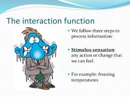 English @ school: 6th grade, UNIT 2: INTERACTION