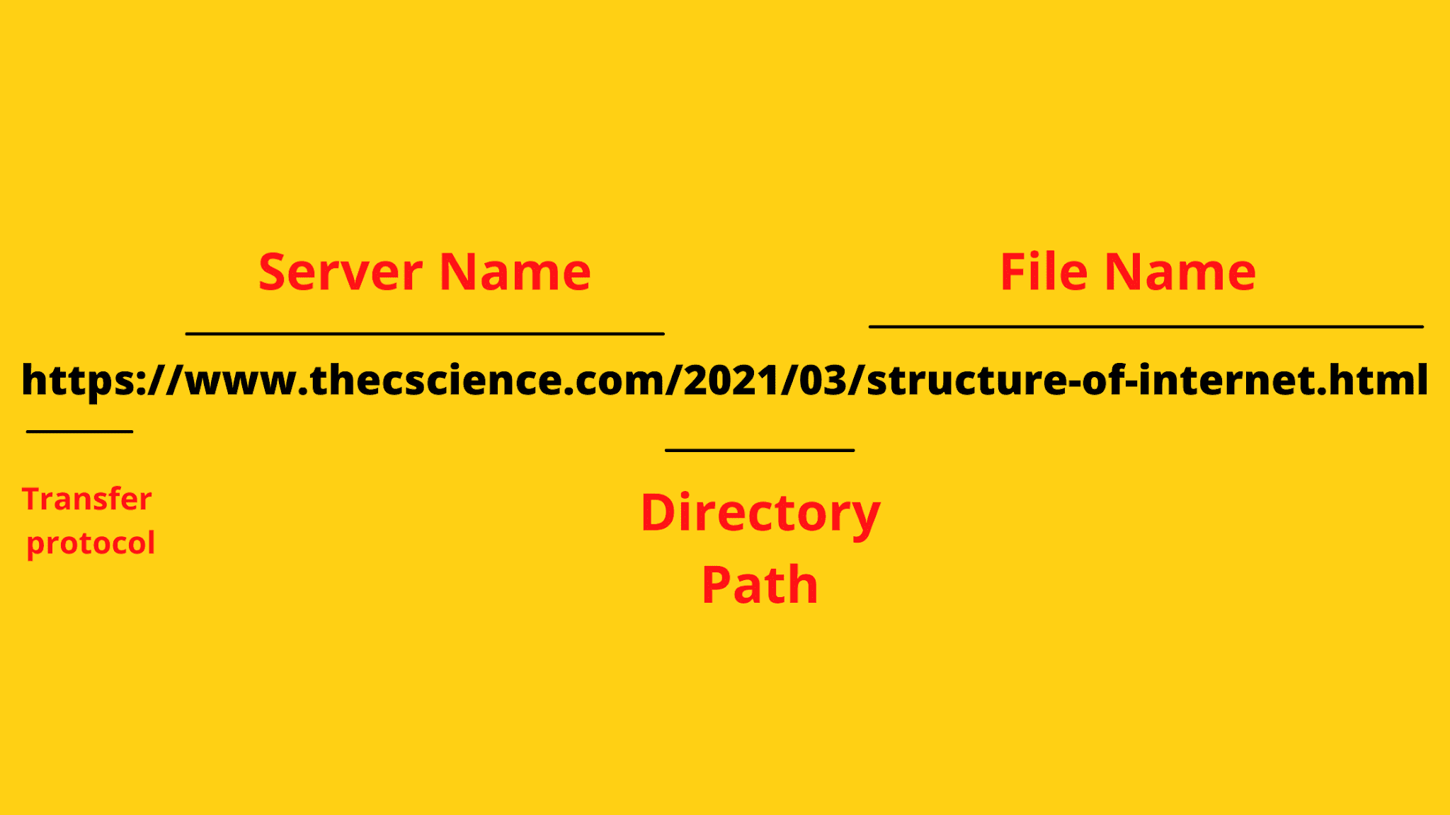 Structure of Internet Service | Digital Communication - TheCScience