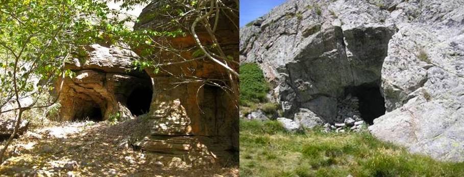 生島クライヤ( ˘ ˘ )®