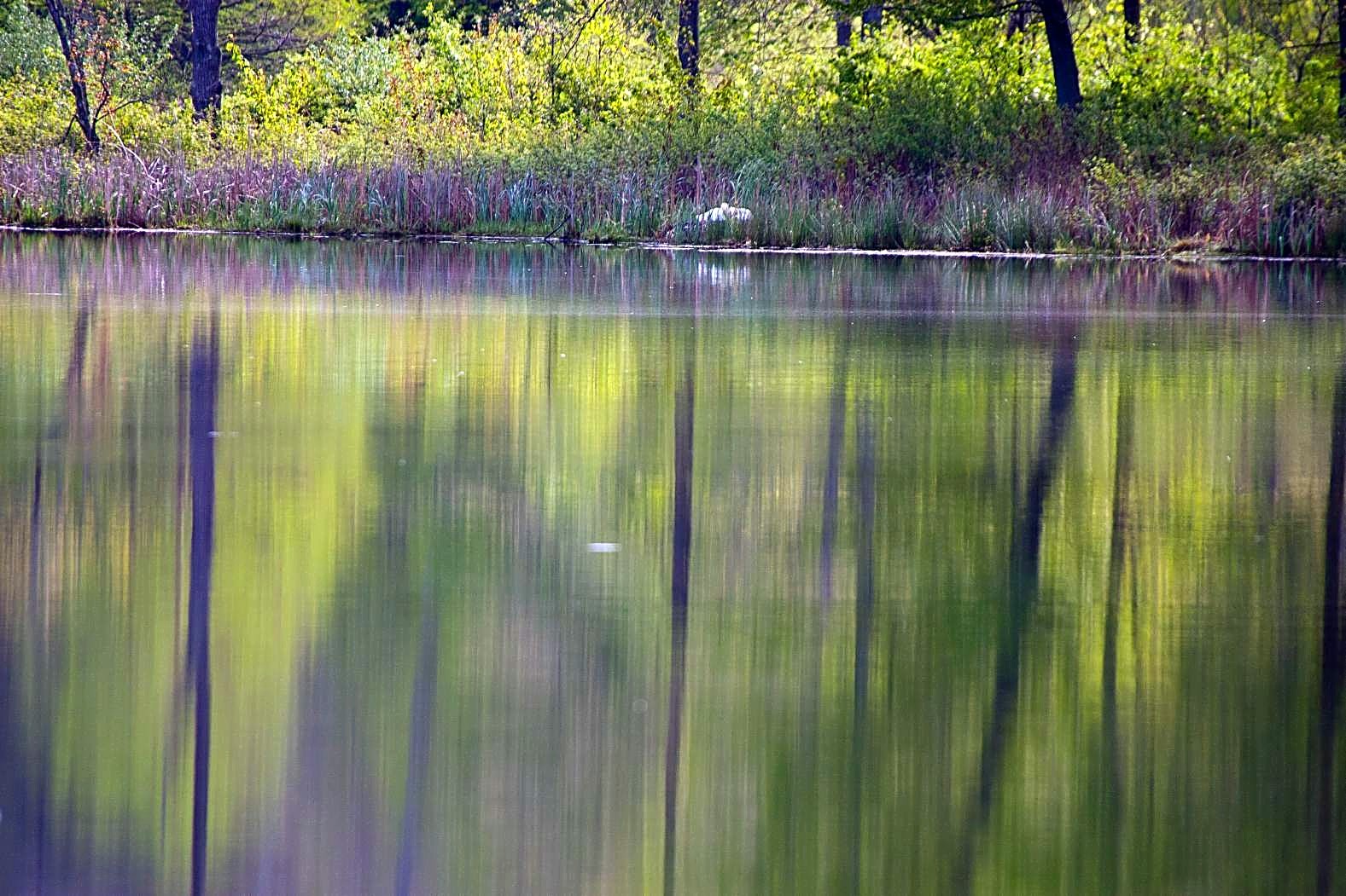Photo Potpourri: Reflections on Wasatch Lake, Part V