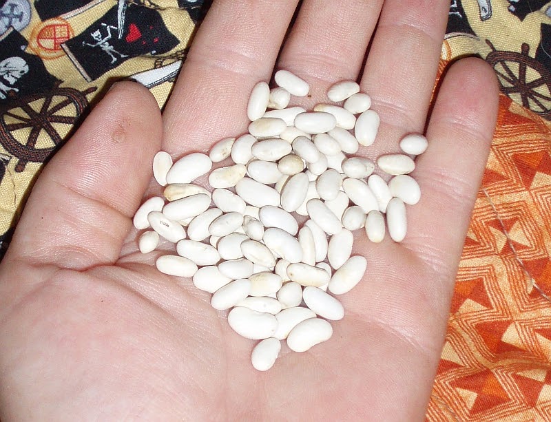 The Redneck Hippie: Earl's Beans