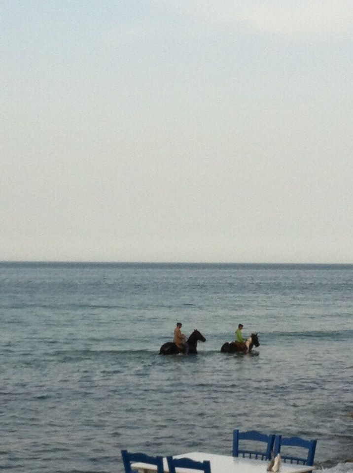 ΛΕΥΤΕΡΙΑ: ΠΡΩΤΟ... "ΜΑΚΡΟΒΟΥΤΙ" ΑΛΟΓΩΝ ΣΤΗΝ ΠΛΑΚΑ ΛΙΤΟΧΩΡΟΥ