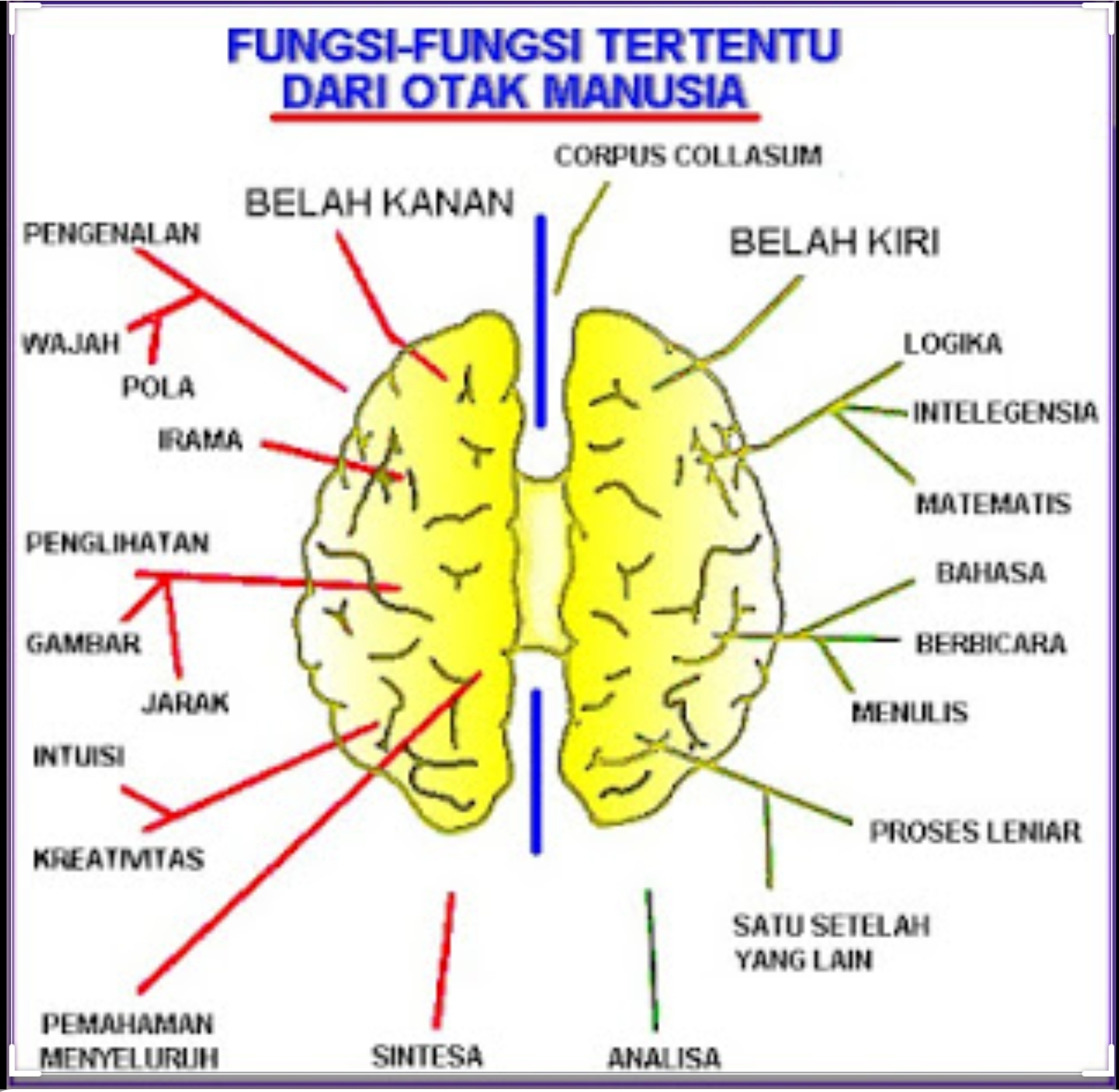 ABDULAHHUBAI,CH, CHt, CMMH,CEFT.CP,CNLP.Pract,C.PS,CI, MASTER HIPNOSIS : Mengenali Jenis-Jenis ...