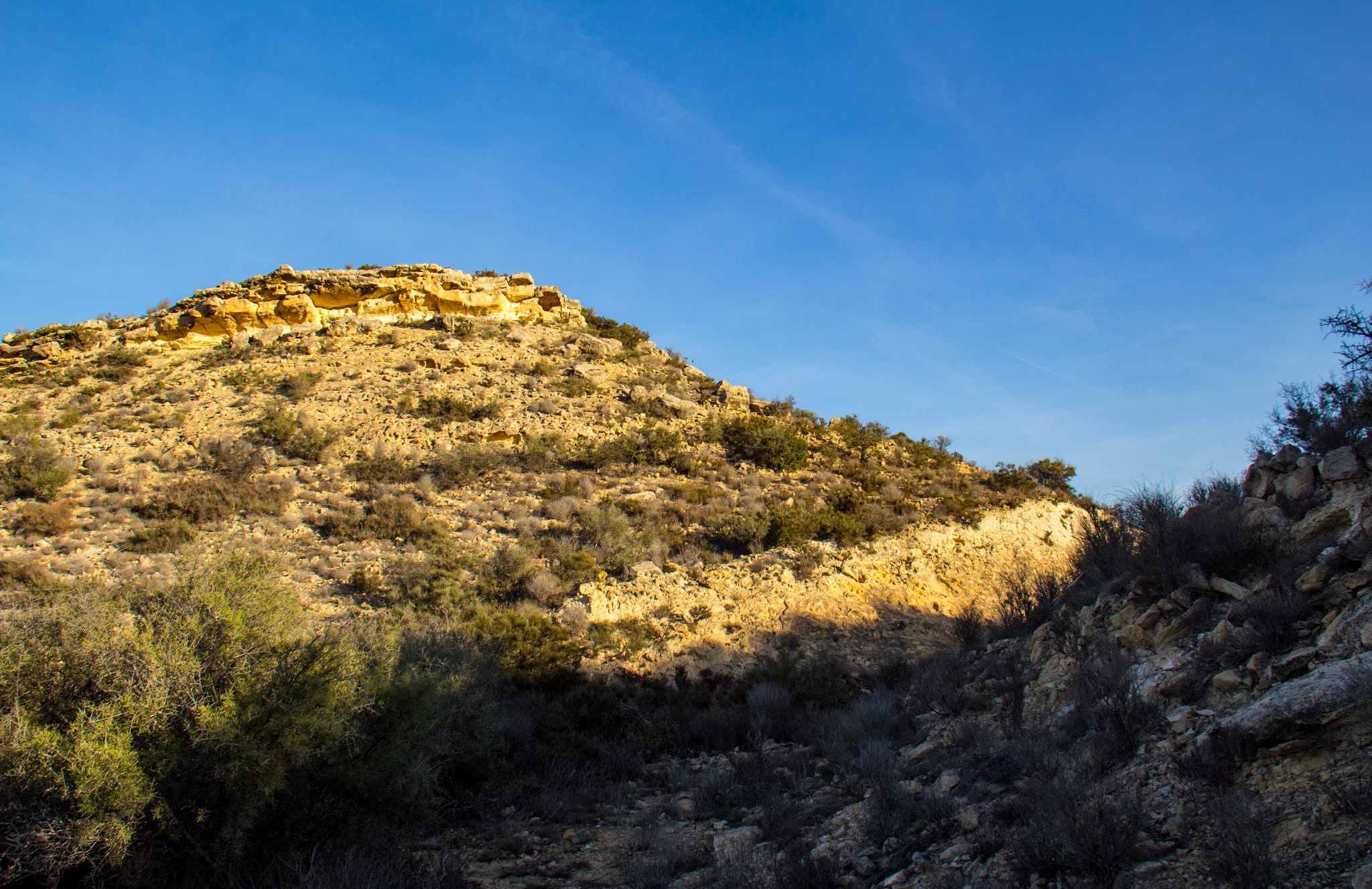 EL PORTIXOL Y LOS BUNKERS DE MONFORTE DEL CID.