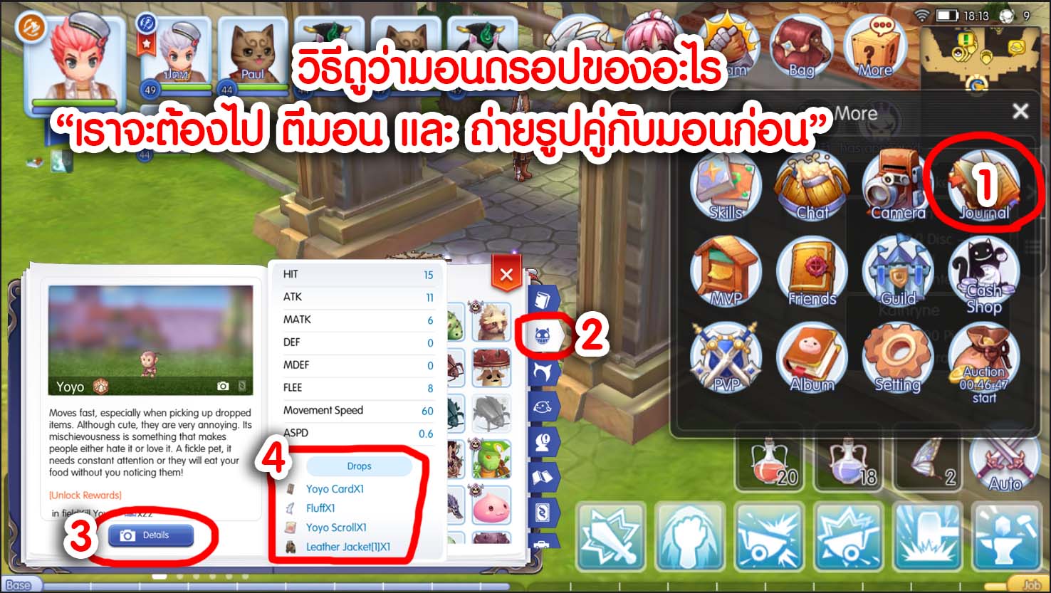 Auto potion ragnarok - storagenaa