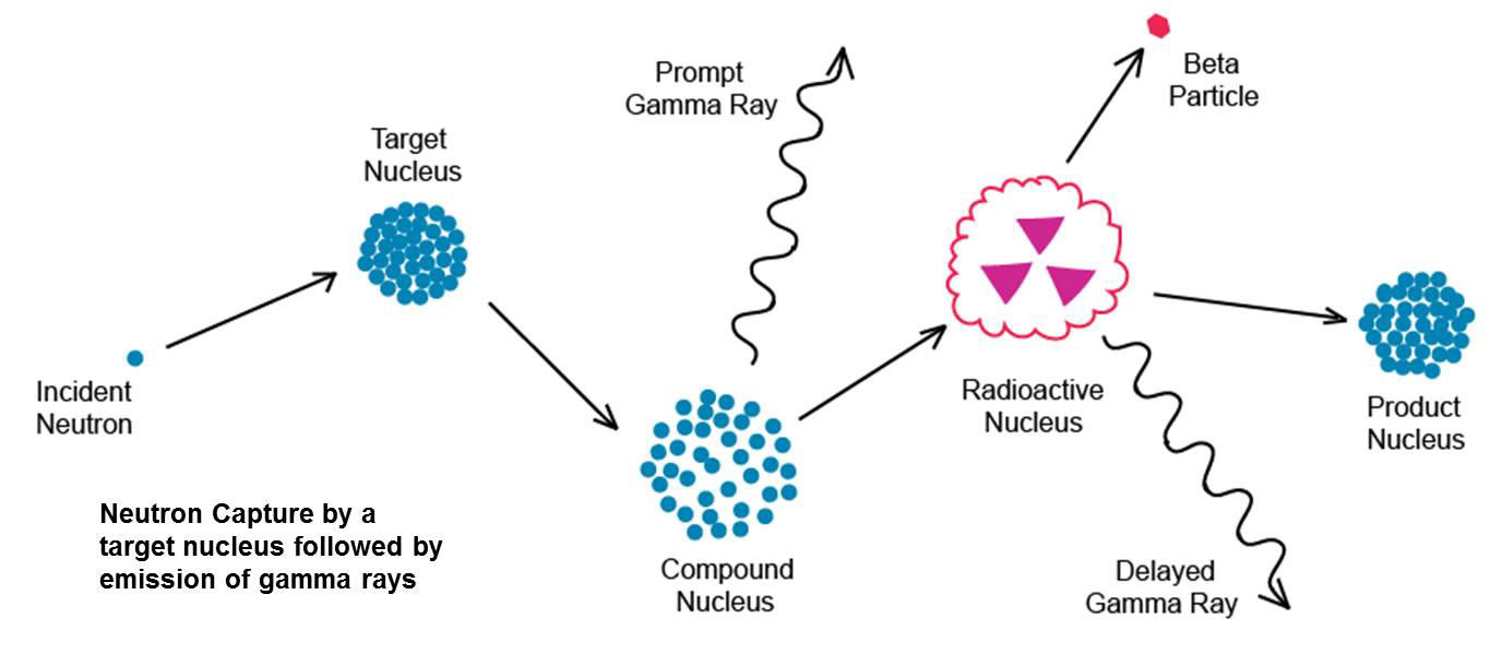 Promieniotwórczość wokół nas - fakty i mity: Promieniowanie neutronowe