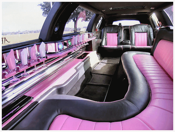 Vehicles: Limousine interior inside of hummer ford h2 and others