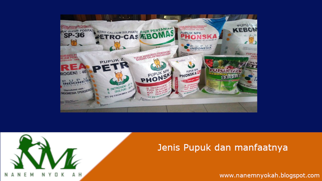 Jenis Pupuk dan manfaatnya untuk tanaman