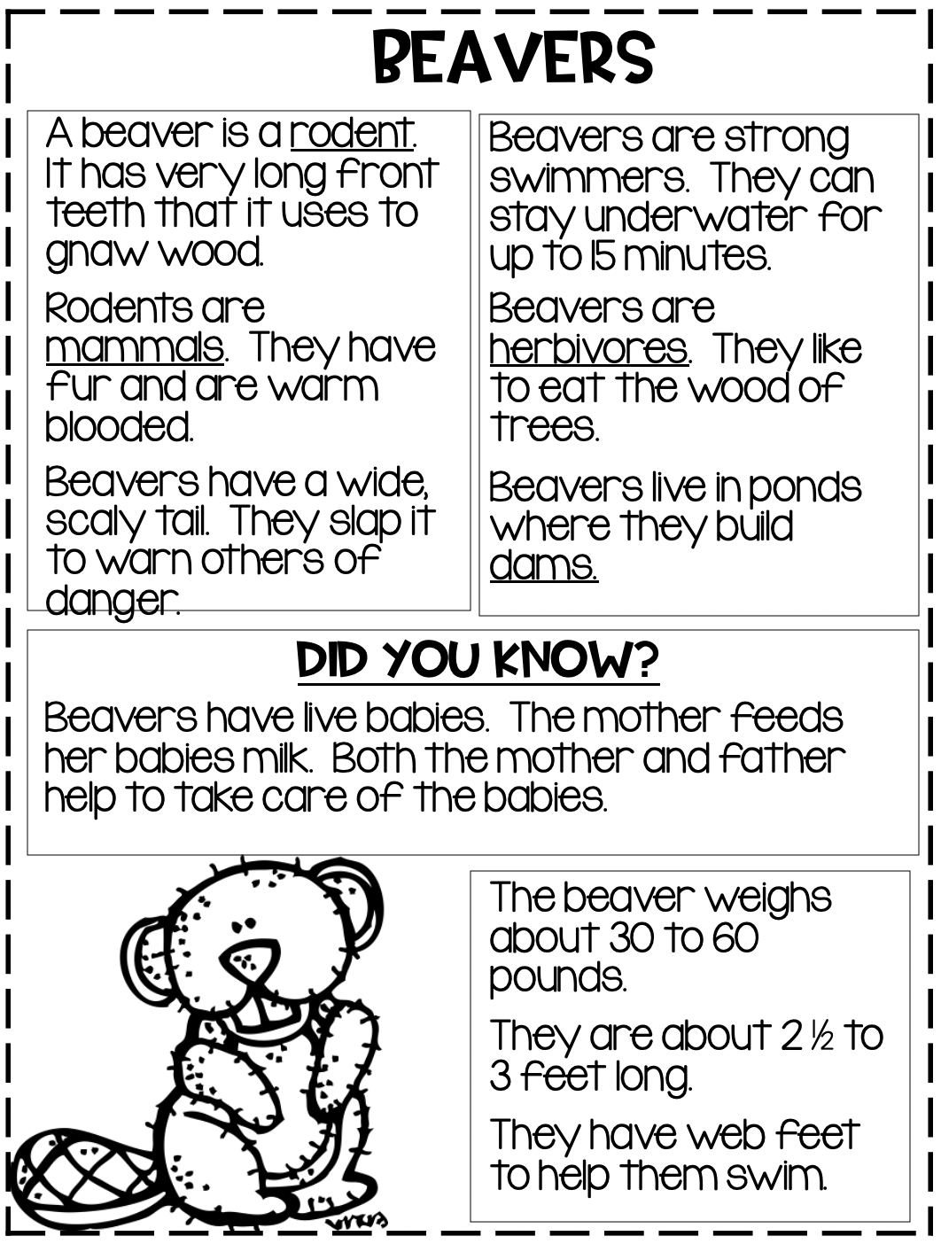 1st Grade Hip Hip Hooray!: The Beaver...Read and Write...Distance Learning!