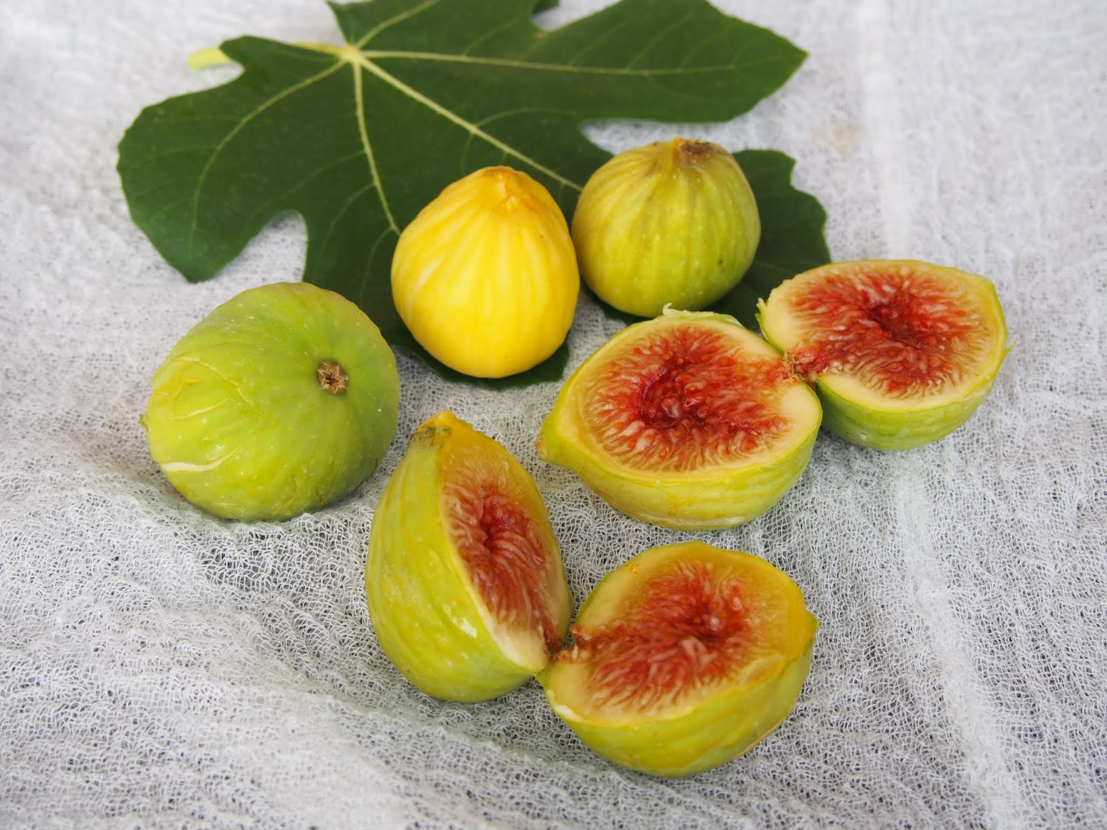 LA FIGUE | Paroles de diet