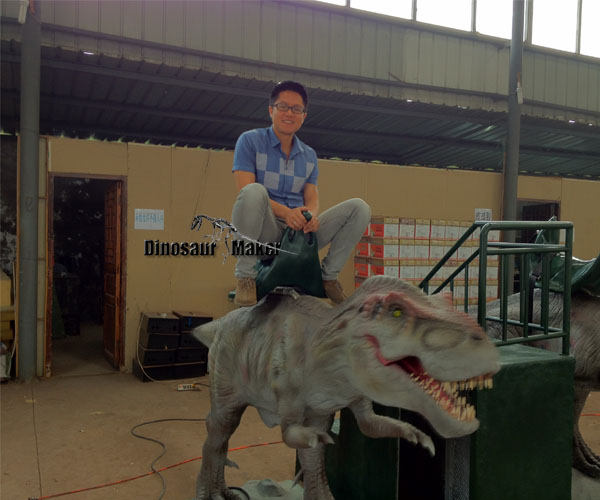 Interactive Dinosaur Exhibits: Interactive Dinosaur Exhibits for Sale