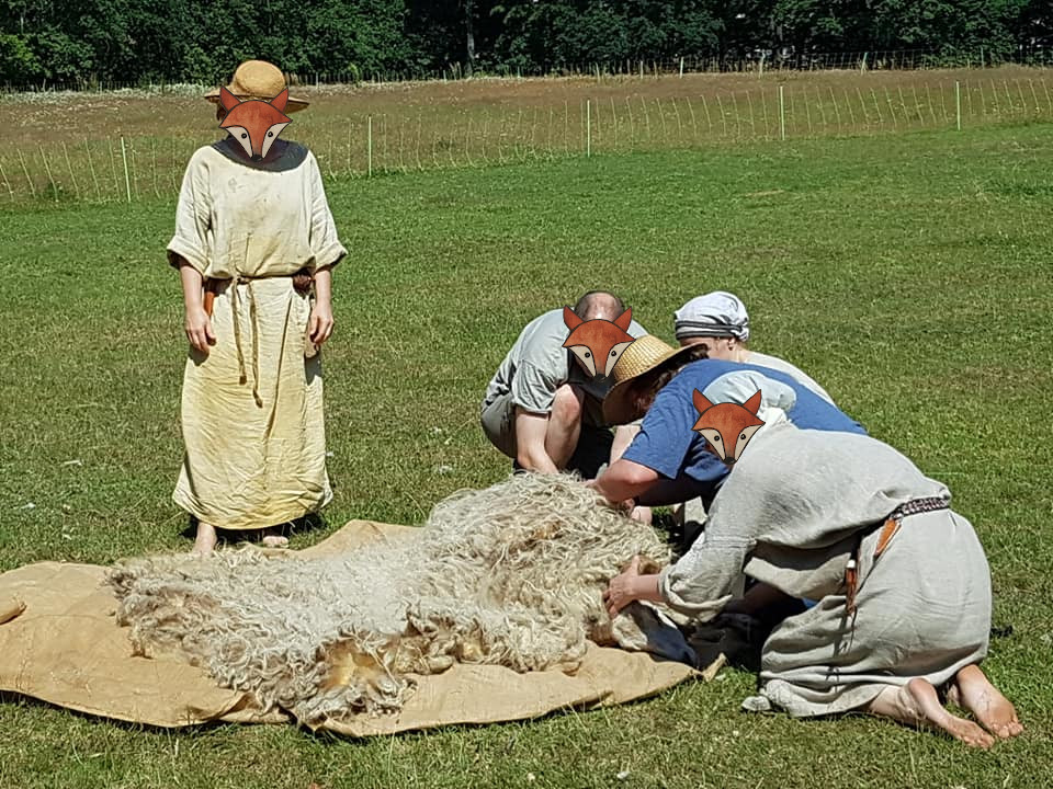 Babbling Brook: On Medieval shearing
