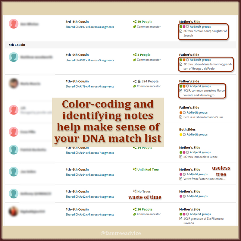 Fortify Your Family Tree: 3 Steps to Solving DNA Matches