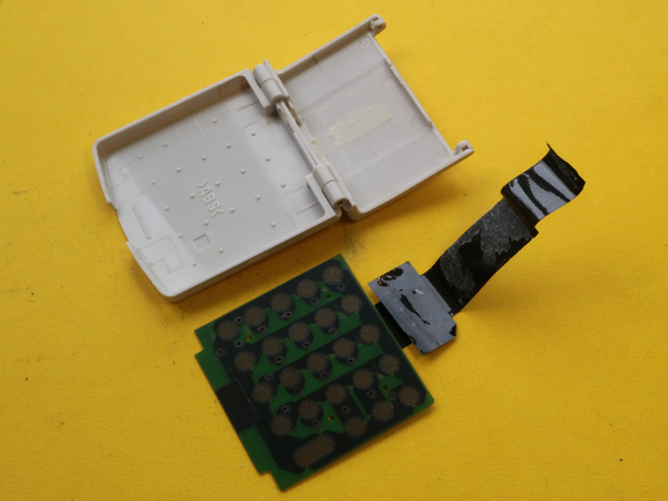 BugWorkShop - 甲蟲工作室: 2月 2021