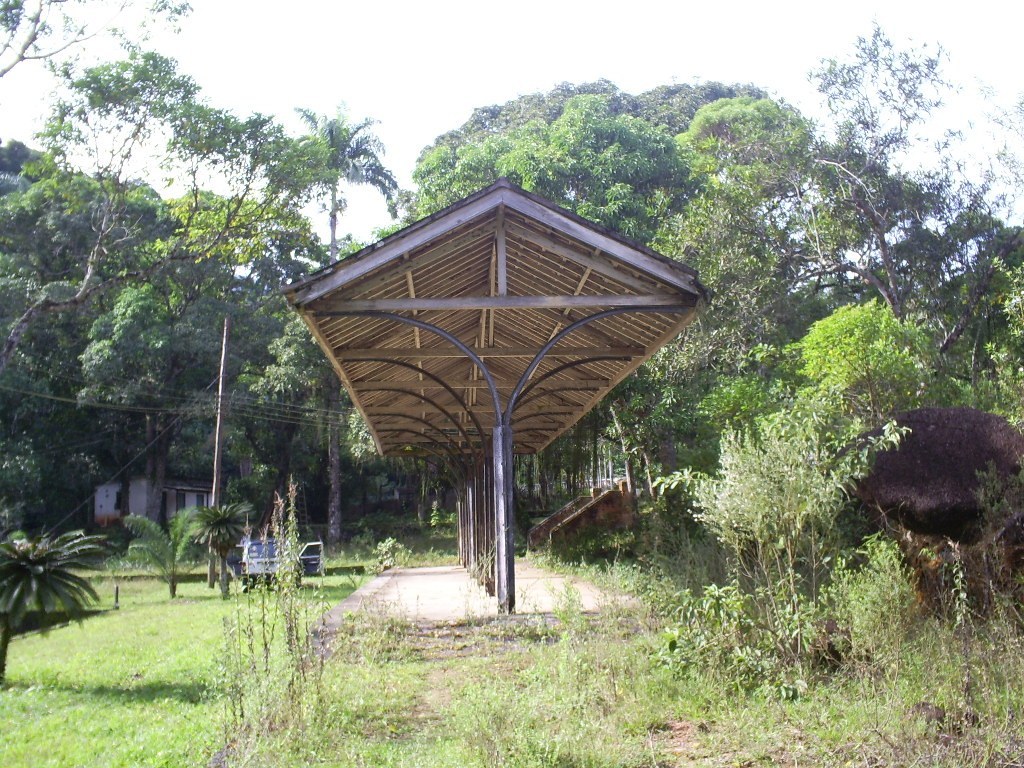 Saiba História: Crise da água e a ferrovia