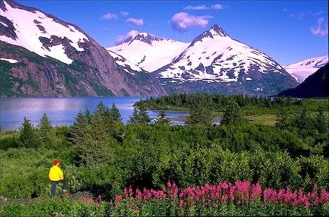 Alaska Buddy: 10 Exciting Places to Visit in Alaska