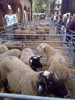 EL BLOG DE CONXI - MIQUEL: FIRA DE SANTA TERESA i FIRA DE LA OVELLA ...