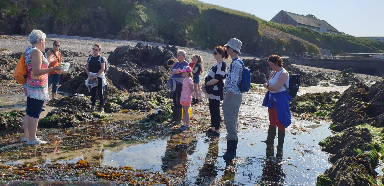 Seaweed Walk at Knockadoon – Youghal Blue and Green Community Network