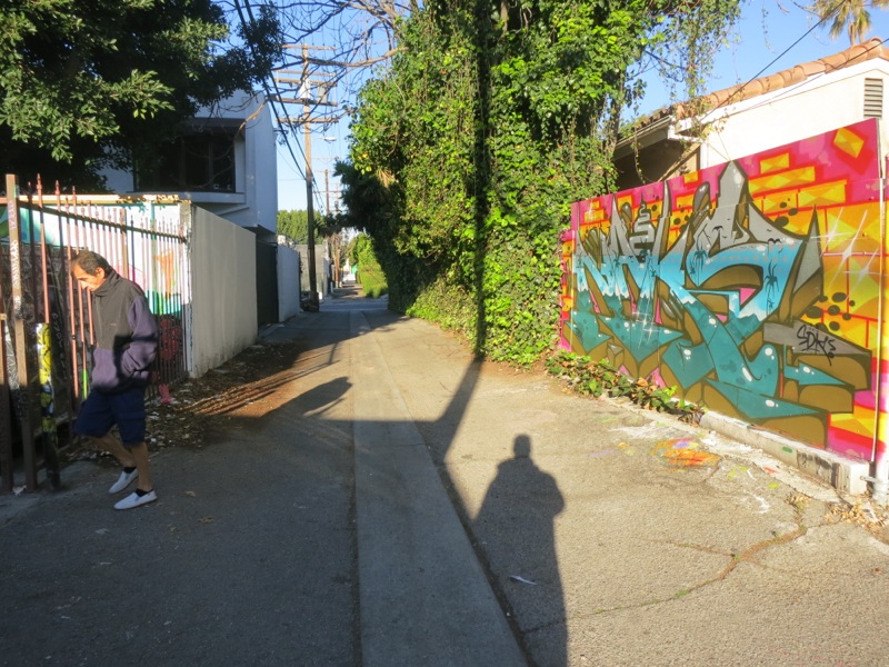 MELROSEandFAIRFAX: Palm Tree Graffiti